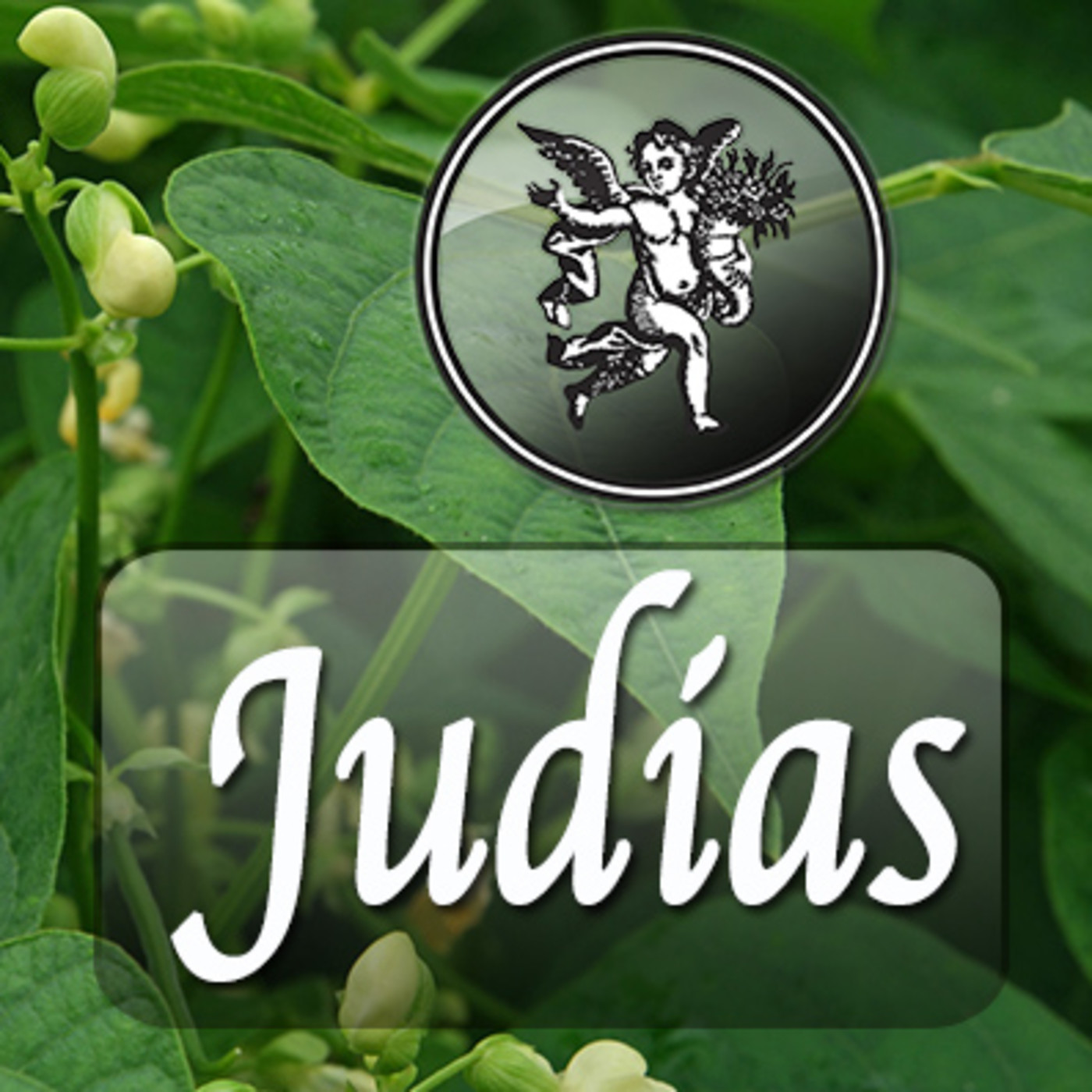 El Angel de tu Salud - JUDIAS en EL ÁNGEL DE TU SALUD en mp3(13/07 a ... El Angel de tu Salud - JUDIAS en EL ÁNGEL DE TU SALUD en mp3(13/07 a ...