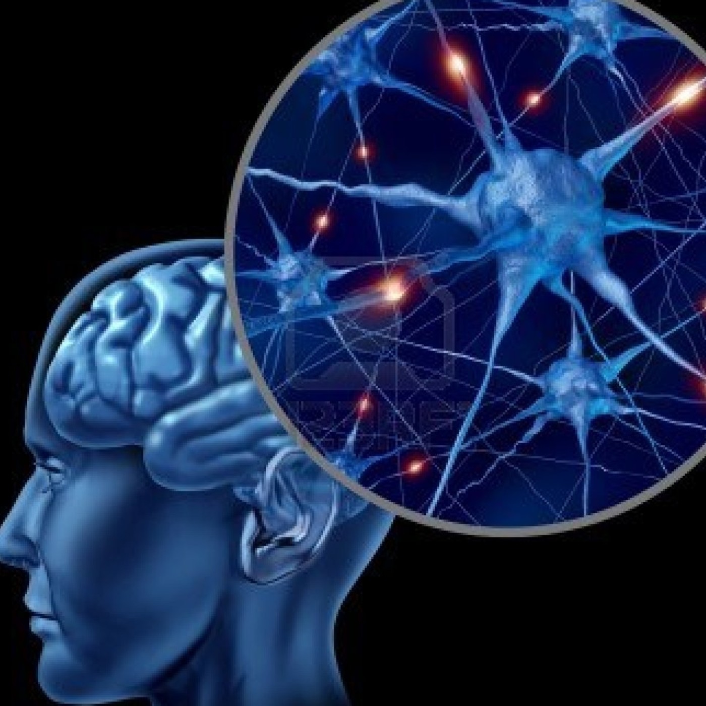La Neurociencia Cognitiva - vrogue.co La Neurociencia Cognitiva - vrogue.co
