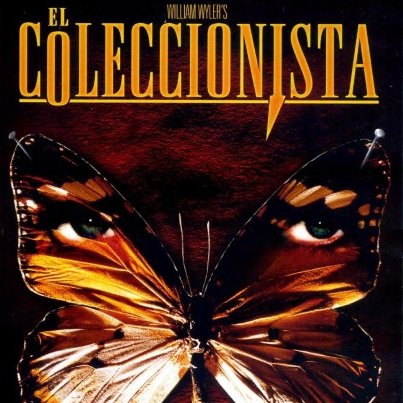 La Biblioteca De El Centinela El Coleccionista En El Centinela Del
