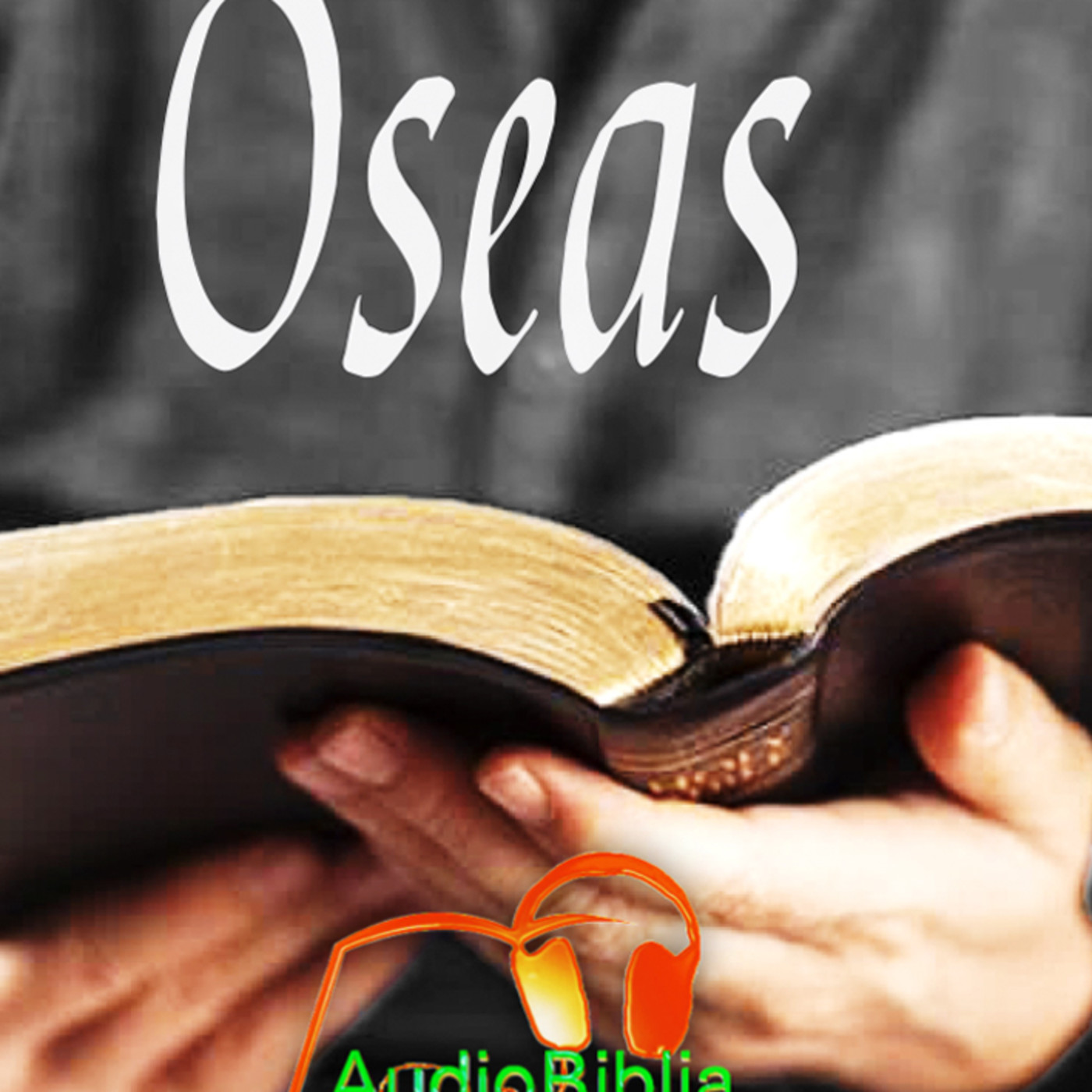Oseas 2, 16-25 AudioBiblia en AT-28 Libro de Oseas, AudioBiblia en mp3 ...