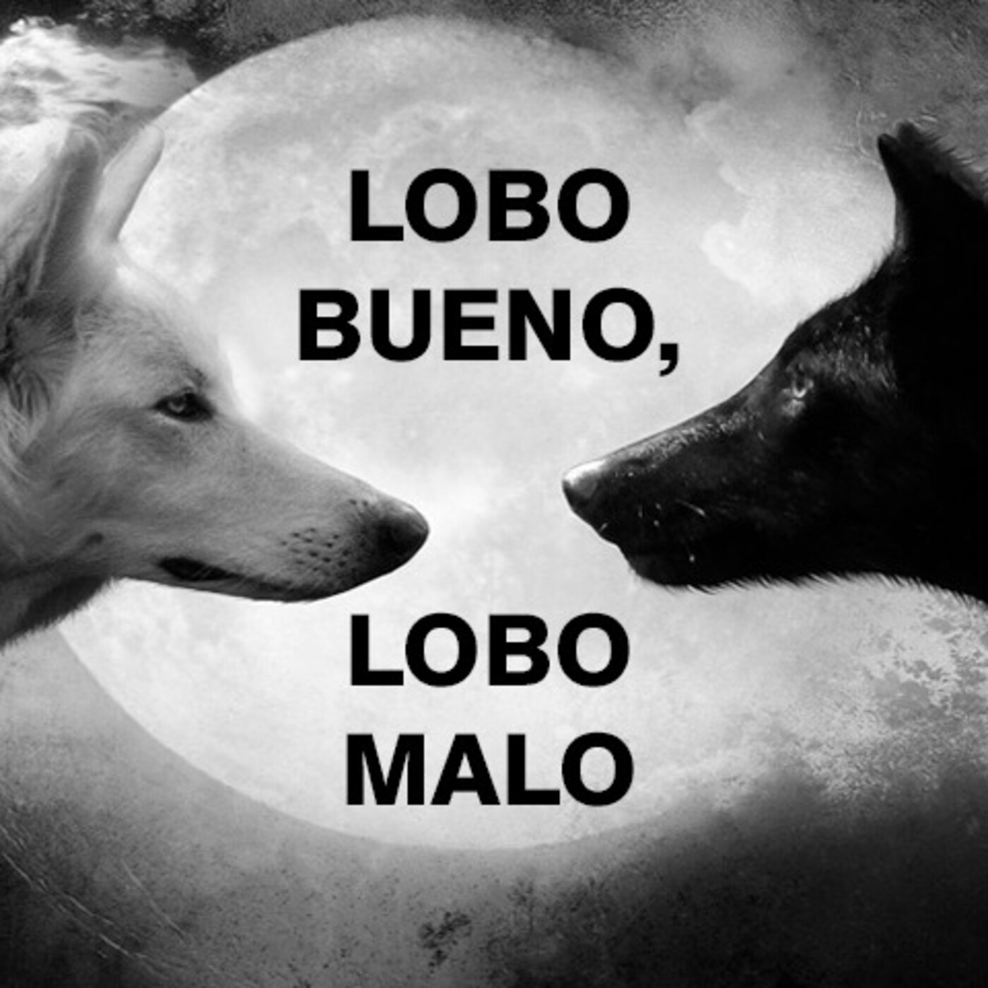 Historia Del Lobo Bueno Y Del Lobo Malo CUENTOS INFANTILES LOS DOS