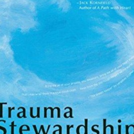 [PDF] ️Download ⚡️ Trauma Stewardship: An Everyday Guide to Caring fo ...