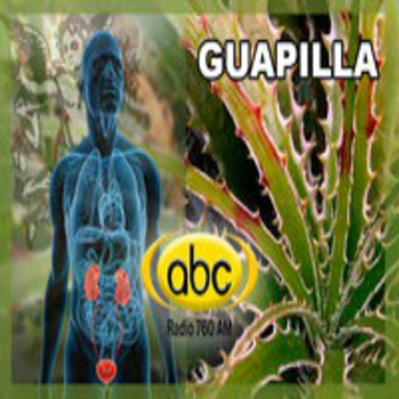 EL ÁNGEL DE TU SALUD- Rodrigo Mondragón - GUAPILLA en EL ÁNGEL DE TU ...