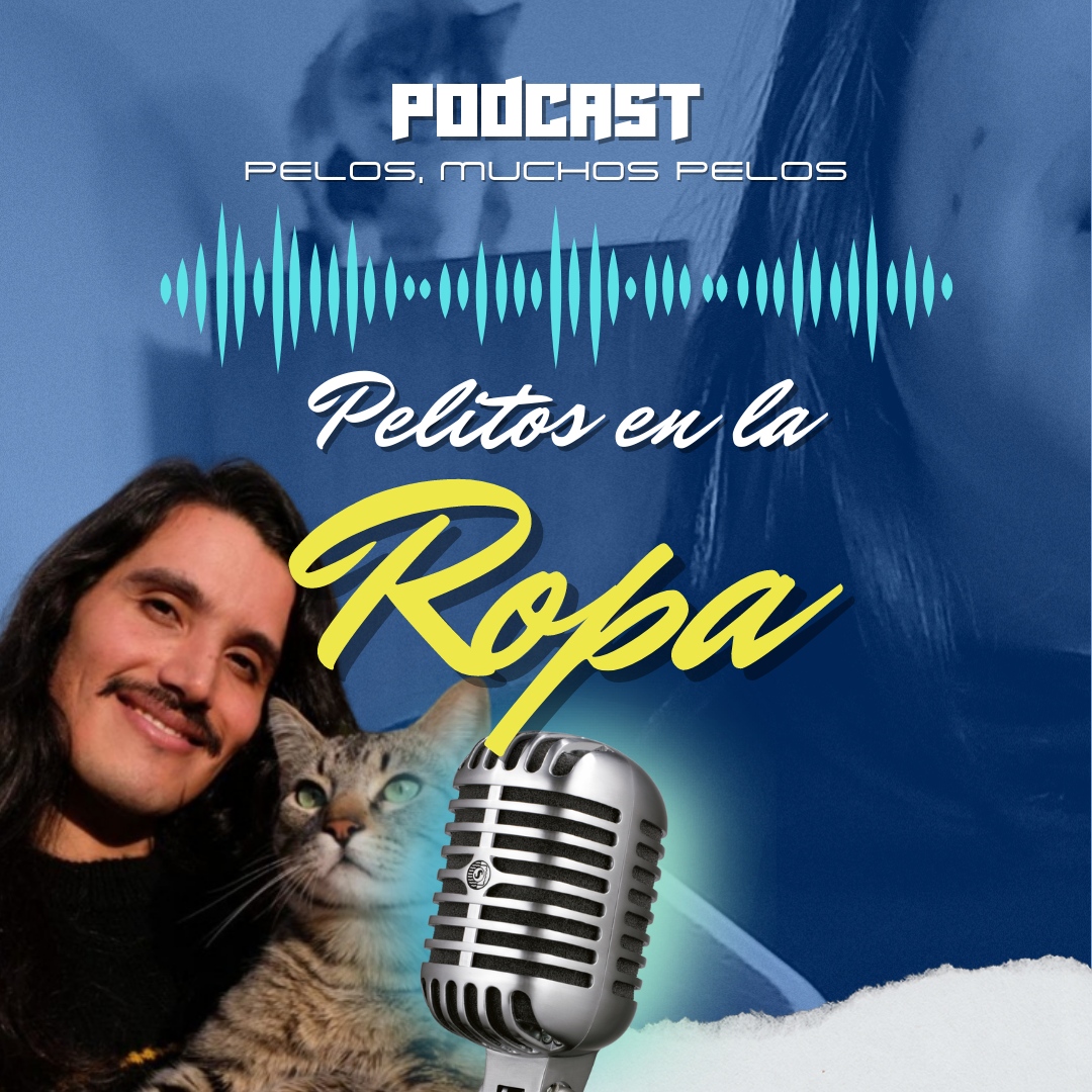 Un Gato, un sueño y el Señor Mishi Wasi - Pelitos en la Ropa - Podcast ...
