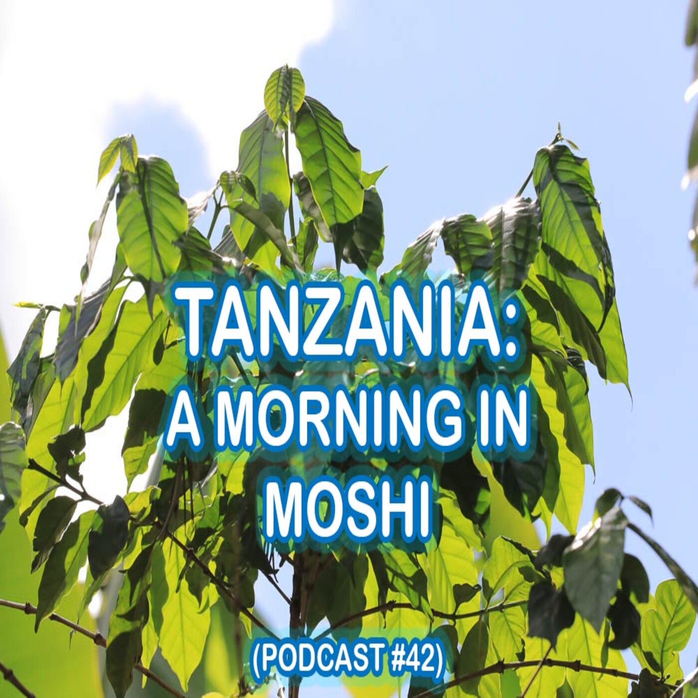 Tanzania - A Morning in Moshi - Sweet Maria's Coffee - Podcast en iVoox