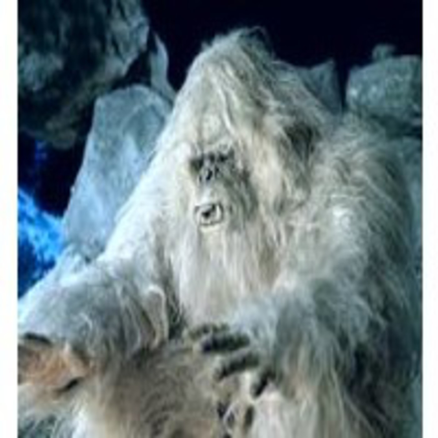 El yeti ante la ciencia en Otros Mundos. La Nave del Misterio en mp3(15 ...