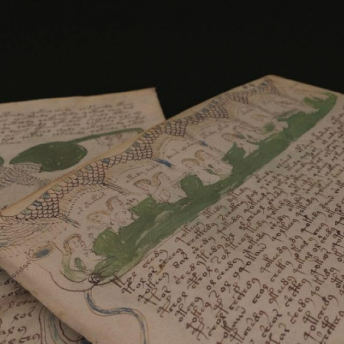 El códice Voynich, el manuscrito más misterioso del mundo ...