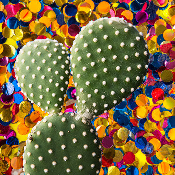 Cactus Confetti 5-Mayo-2020 - Cactus Confetti - Podcast en iVoox