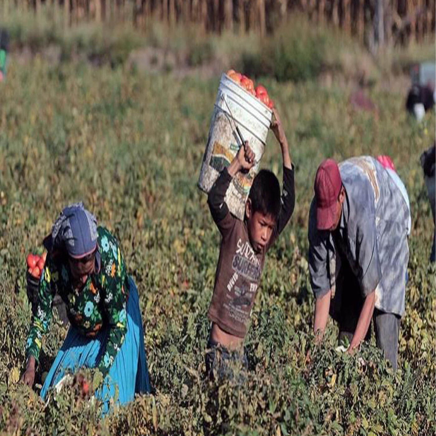 Trabajo infantil: una lacra persistente - Plaza al Día - Podcast en iVoox