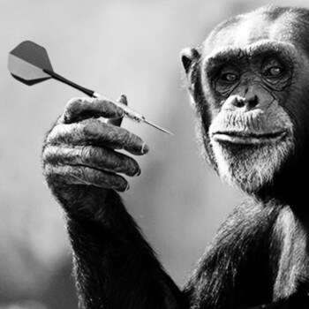 #93 | Lo random (un podcast al azar) - Monos con pistolas - Podcast en ...