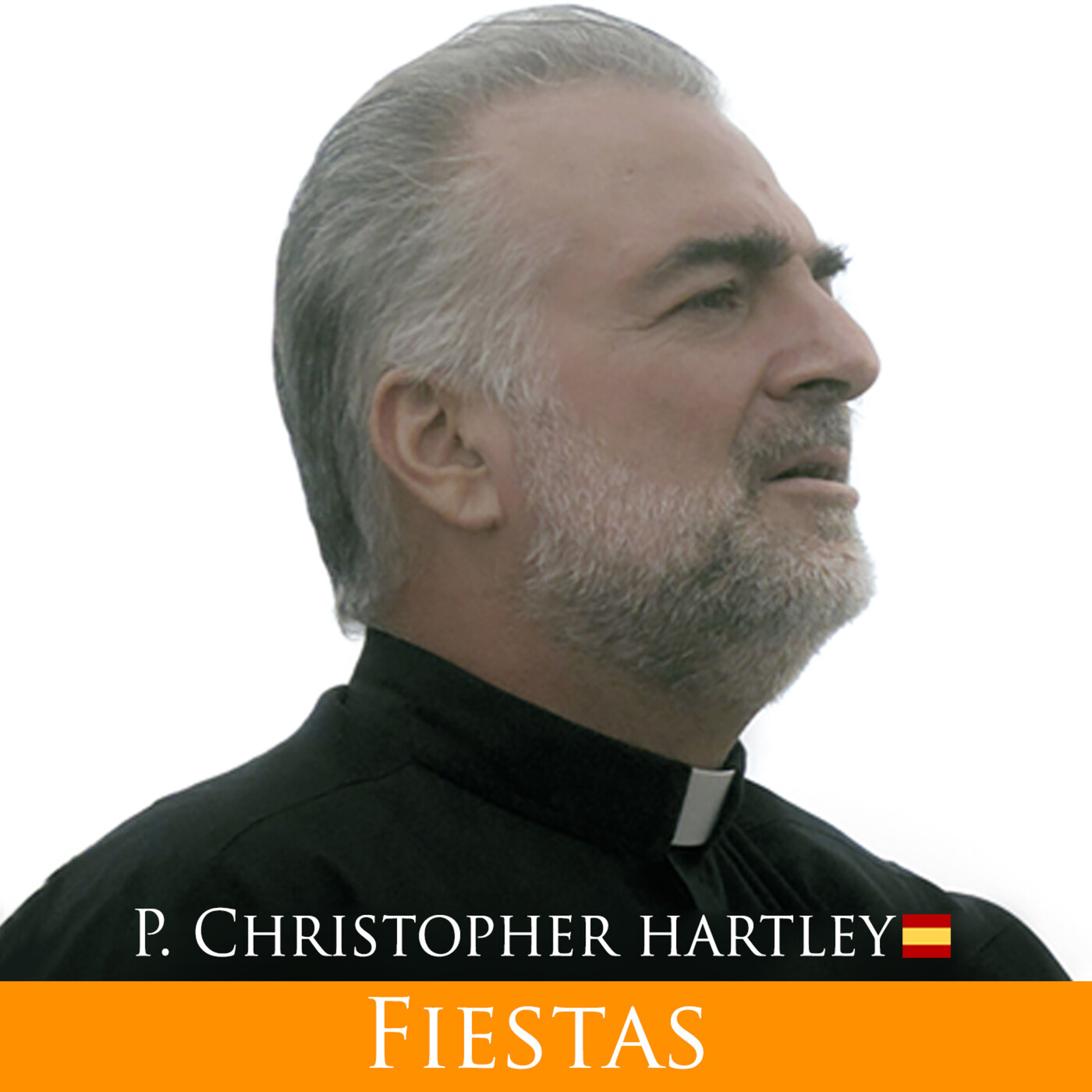 Fiesta Febrero 11 La Virgen de Lourdes Jn(2,1-11) I - Padre Christopher Hartley | Reflexión Ev ...