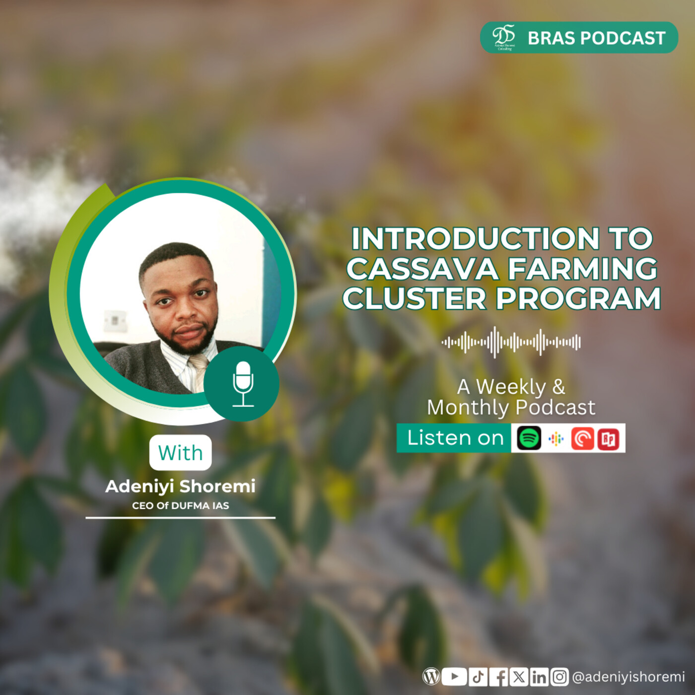 Introduction to DUFMA Cassava Farming Cluster Program - Business ...