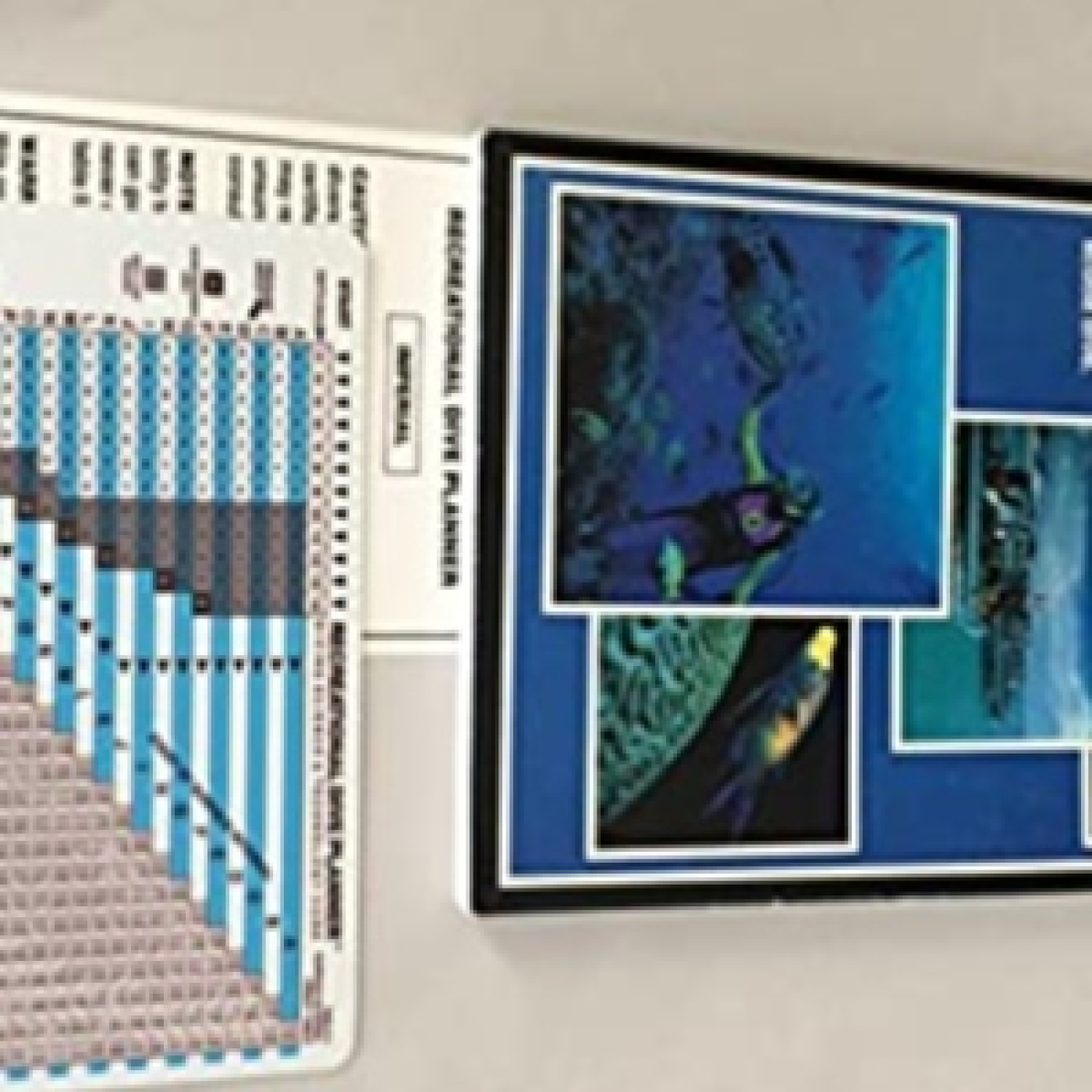 Download⚡️(PDF) ️ PADI: Open Water Diver Manual Complete Edition ...