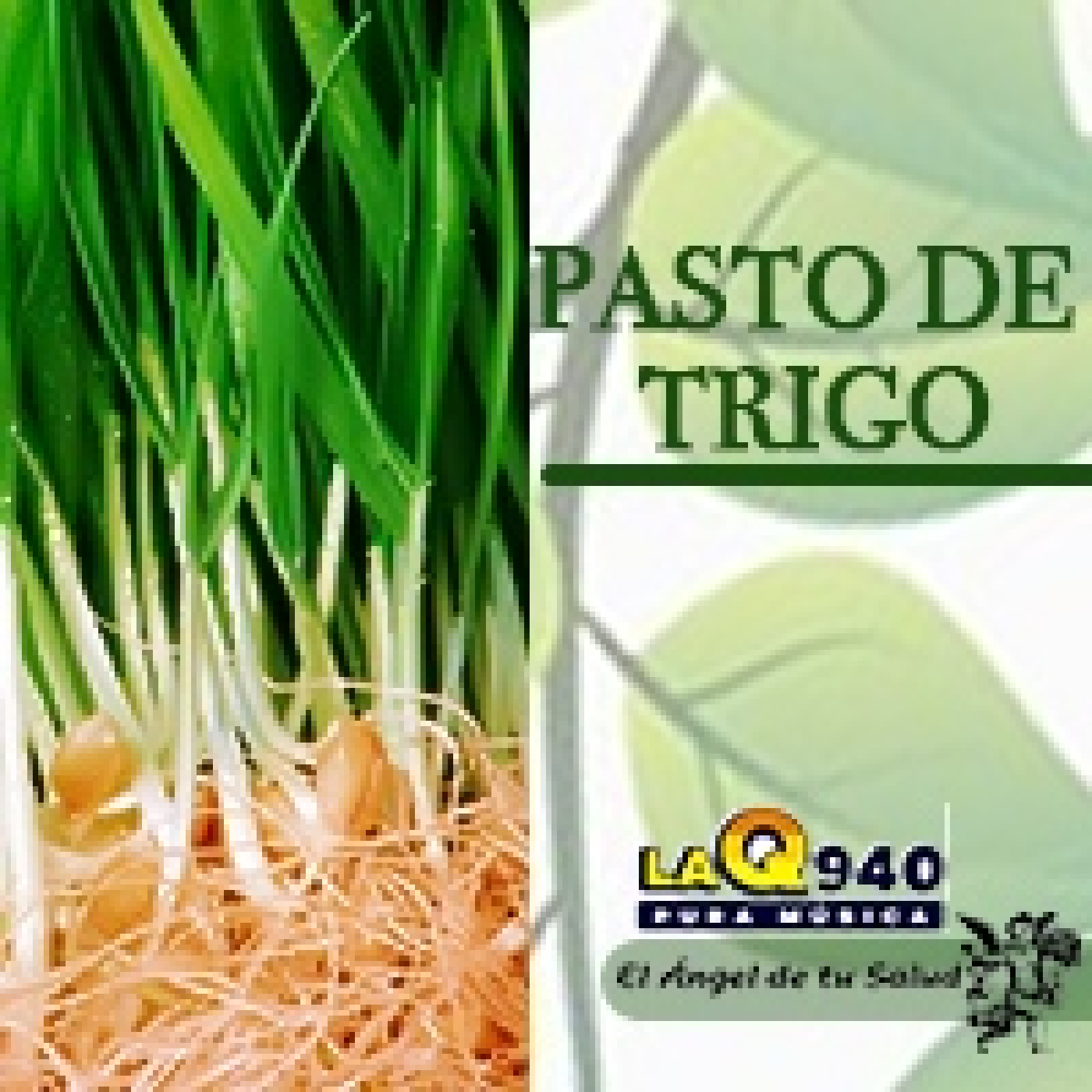 El Ángel de tu Salud - Pasto de Trigo** - EL ÁNGEL DE TU SALUD ...