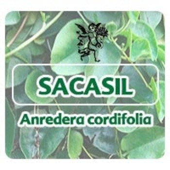 El Ángel de tu Salud - SACASIL - EL ÁNGEL DE TU SALUD - Podcast en iVoox