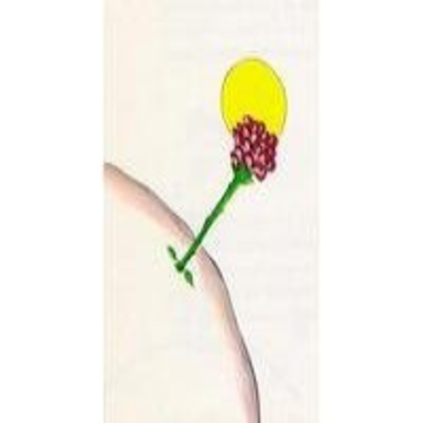 El Principito (Cap 7) / Es importante la guerra entre corderos y flores ...