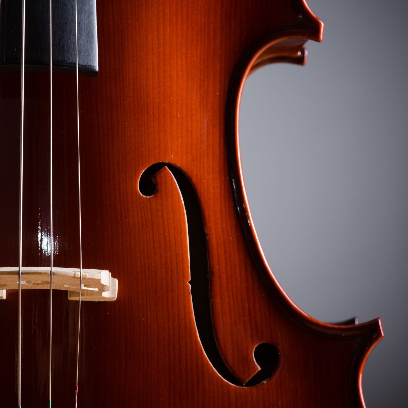 "Axone" de Michèle Pierre: un violoncelle en mouvement - L'écho des ...