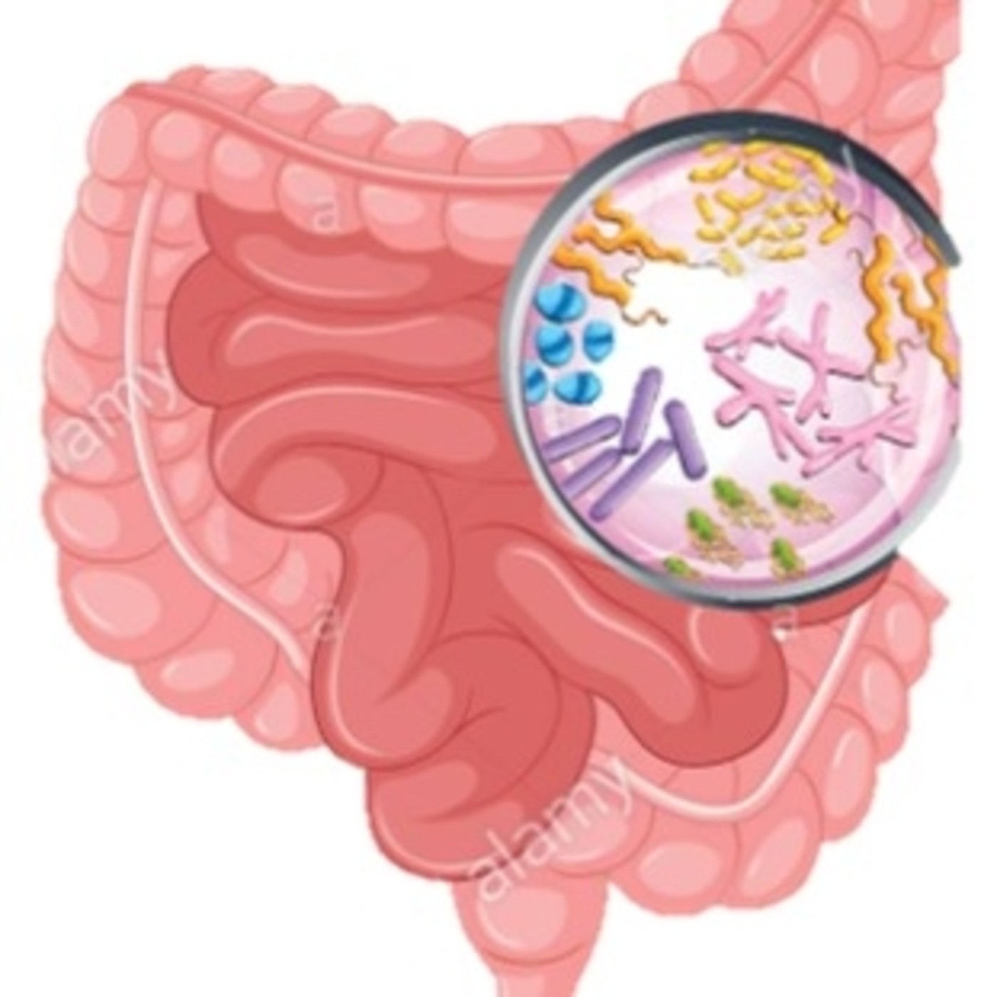 Caso clínico de gastroenteritis aguda - Benjamín Baldiviezo Mayta ...