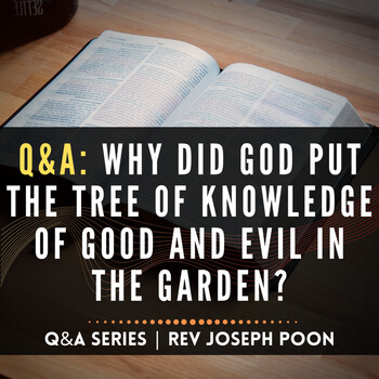 Why Did God Put The Tree Of Knowledge Of Good And Evil In The Garden ...