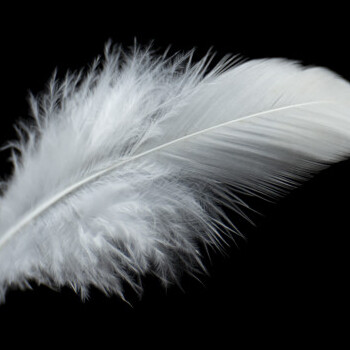 La Pluma // Meditación Guiada - Los Senderos de la Mente - Podcast en iVoox