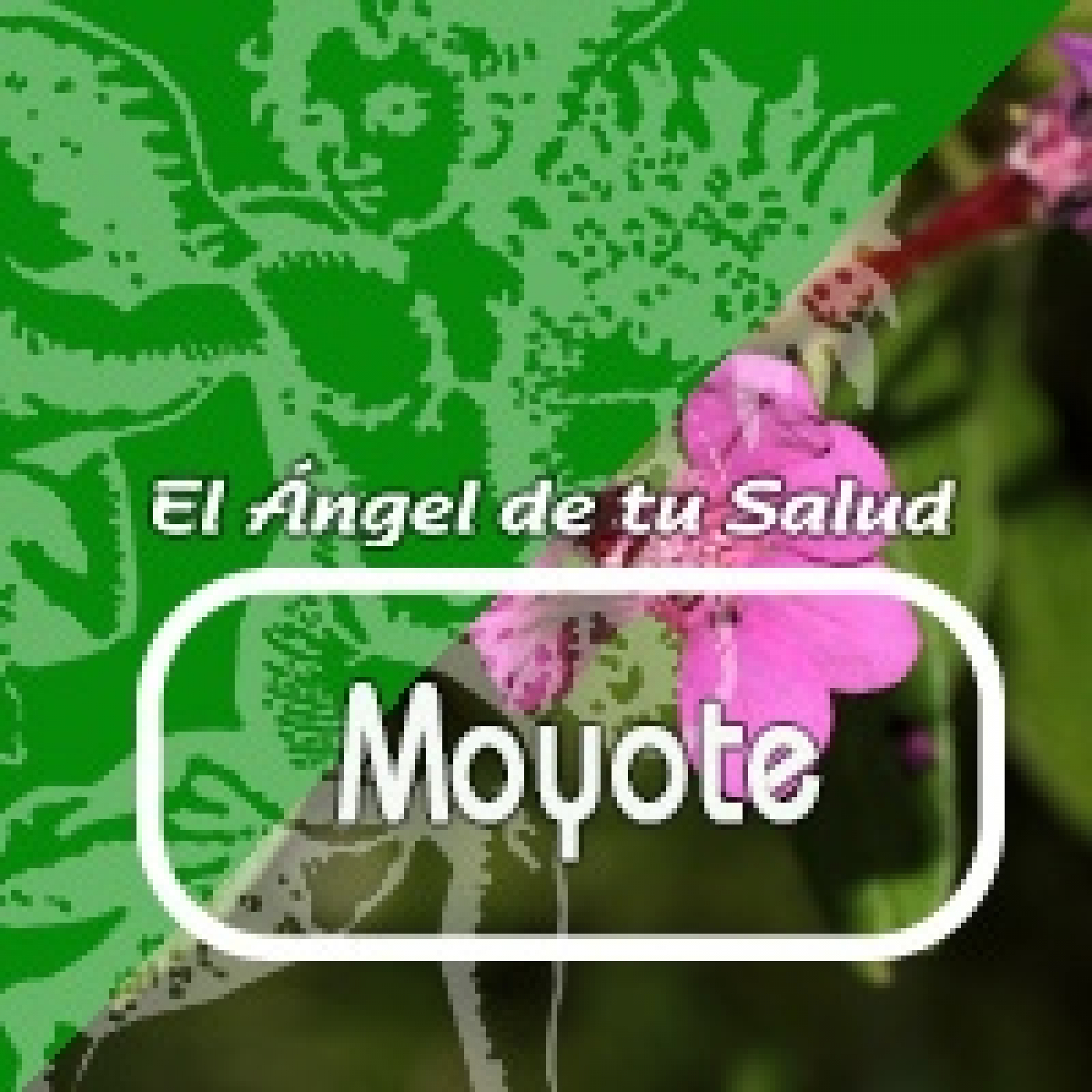 El Ángel de tu Salud - MOYOTE **** - EL ÁNGEL DE TU SALUD - Podcast en ...