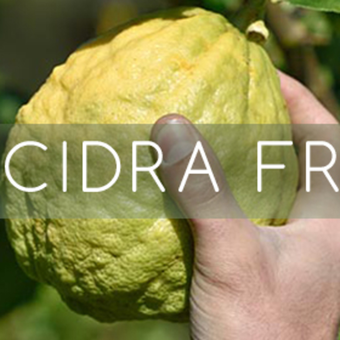 Nutribella - CIDRA FRUTO en Podcast de NUTRIBELLA en mp3(15/11 a las 21 ...