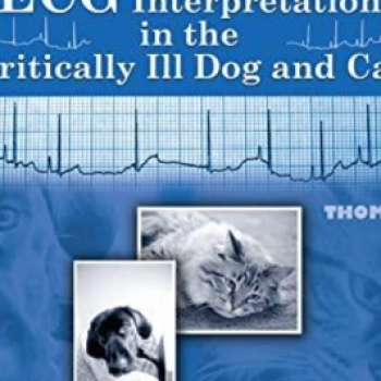 PDF/READ⭐ ECG Interpretation in the Critically Ill Dog and Cat full ...