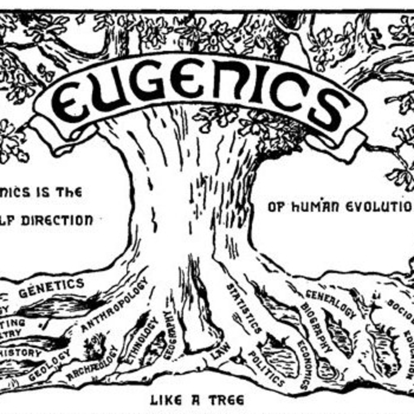 El origen de la eugenesia: Francis Galton en PRIMUM GRADUS (el primer ...