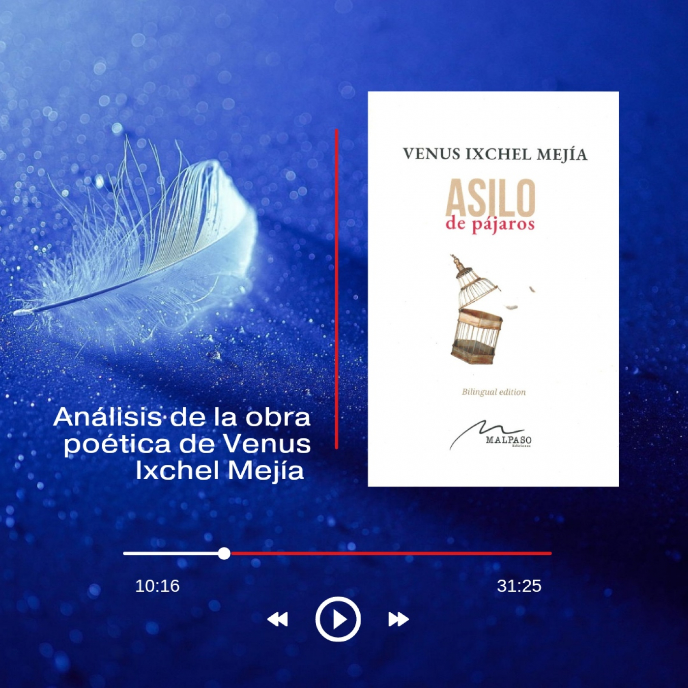 "Asilo de pájaros" de Venus Ixchel Mejía, un análisis de la obra ...