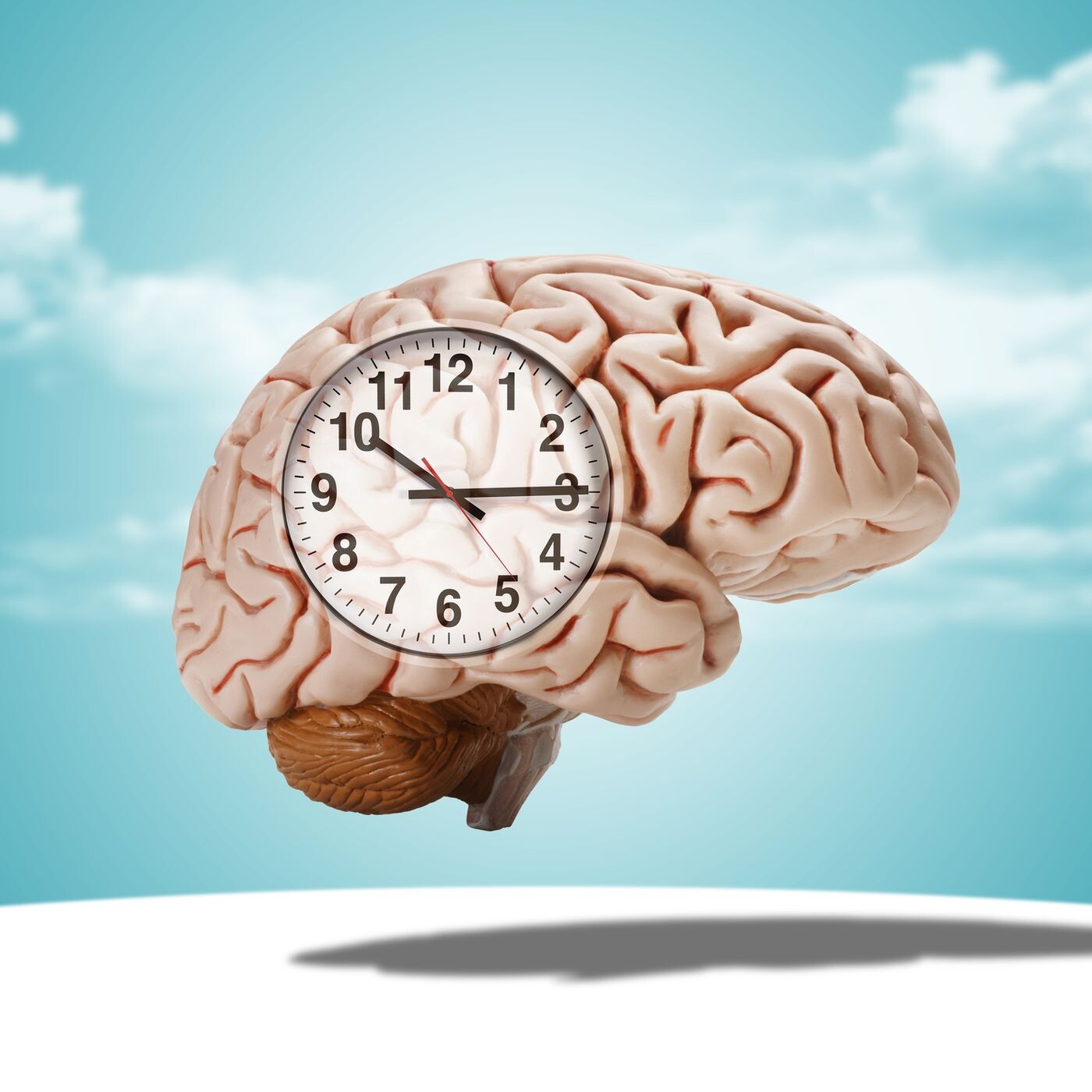 Brain Age Test: cos’è, come funziona e perché può essere utile scoprire ...