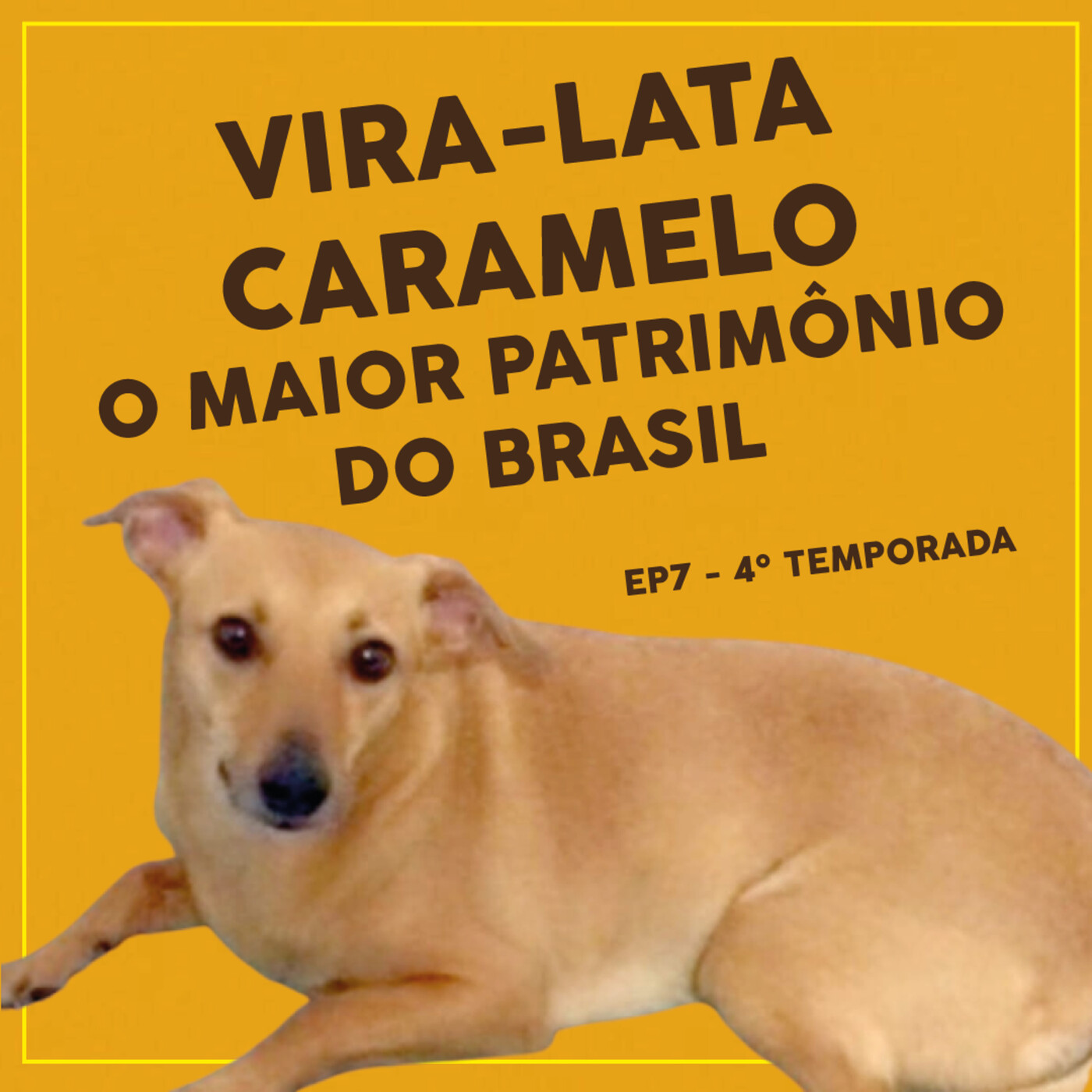 Vira-Lata Caramelo, o maior patrimônio do Brasil - EP7 - 4º Temporada ...