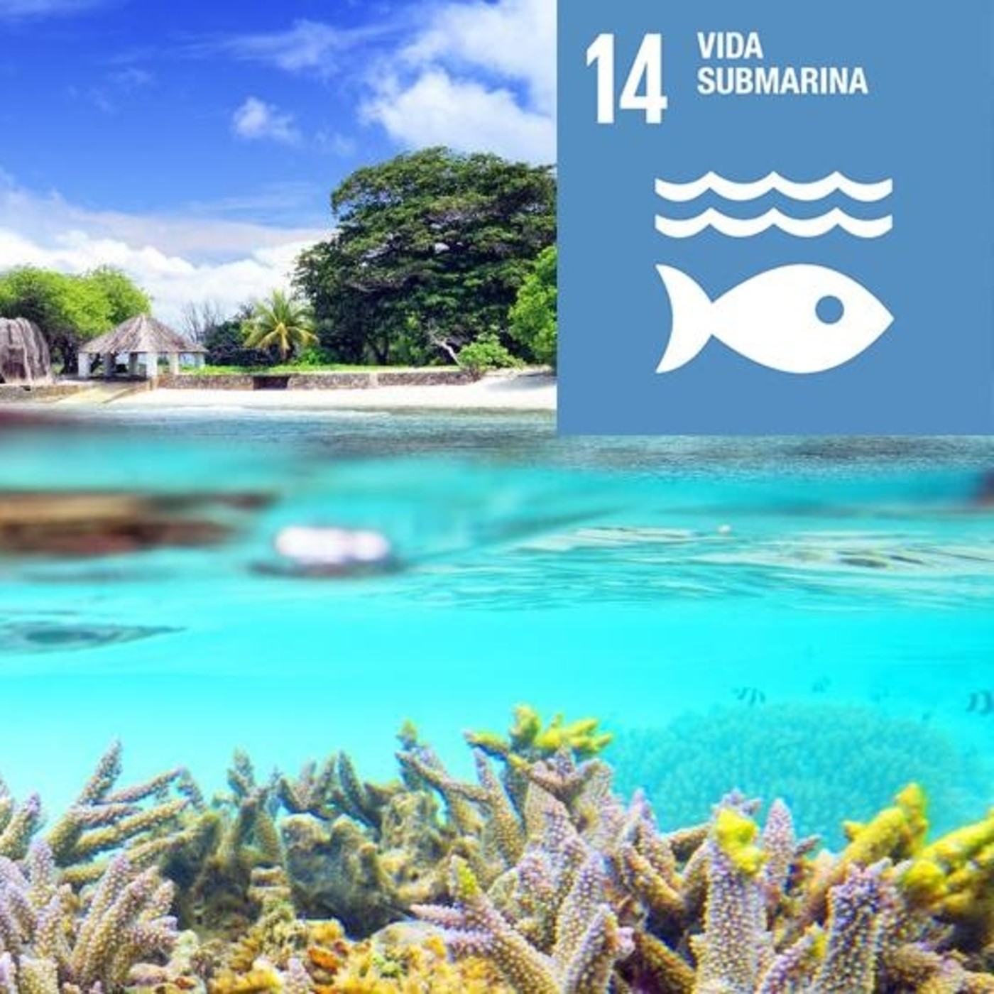 Ods 14 vida submarina - Tania Narvaez - Podcast en iVoox