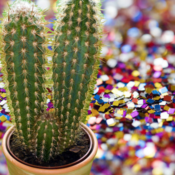 Cactus Confetti 22-Octubre-19 - Cactus Confetti - Podcast en iVoox