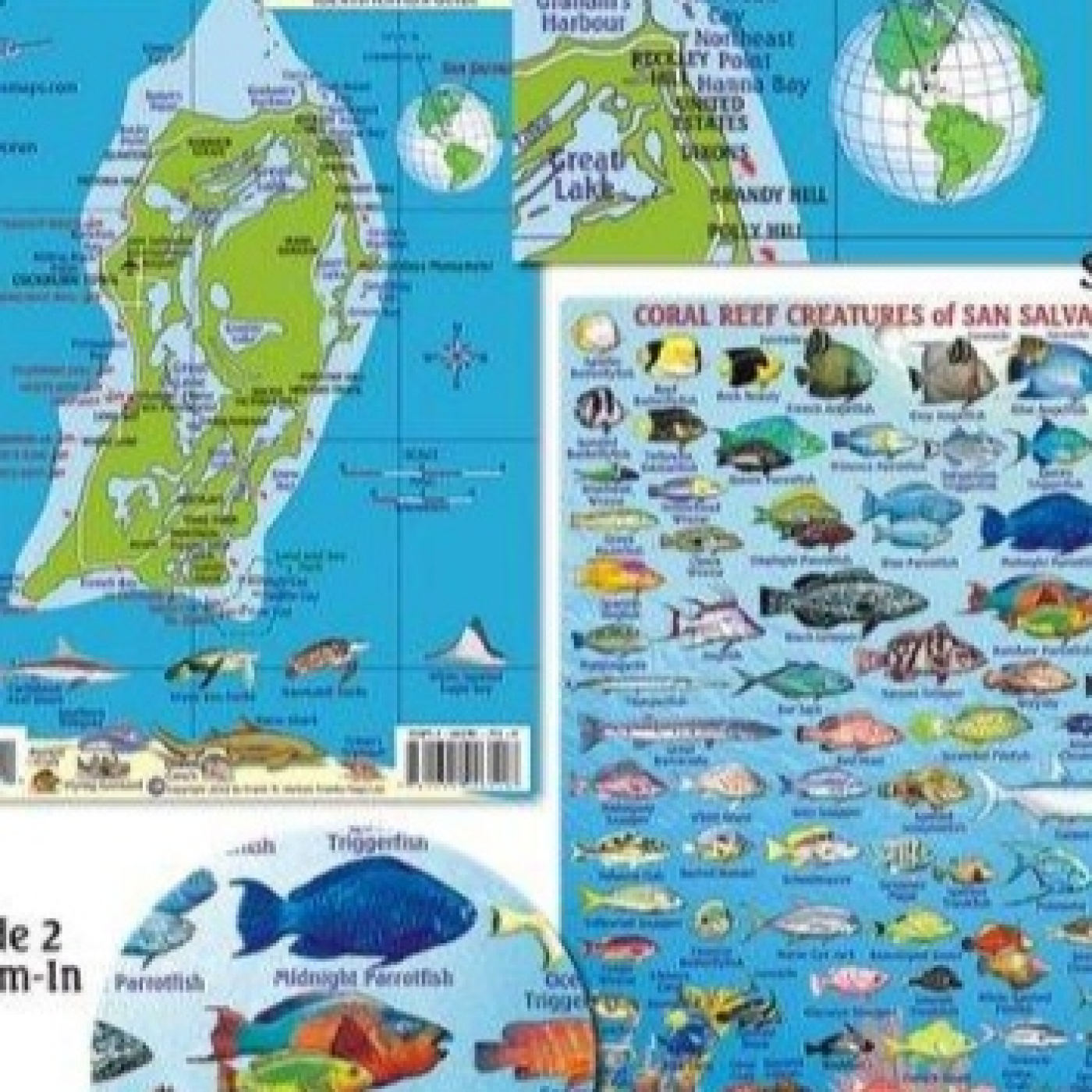 Map Of Caribbean Curacao Reef Creatures Dive Map - Waterproof Fish ...