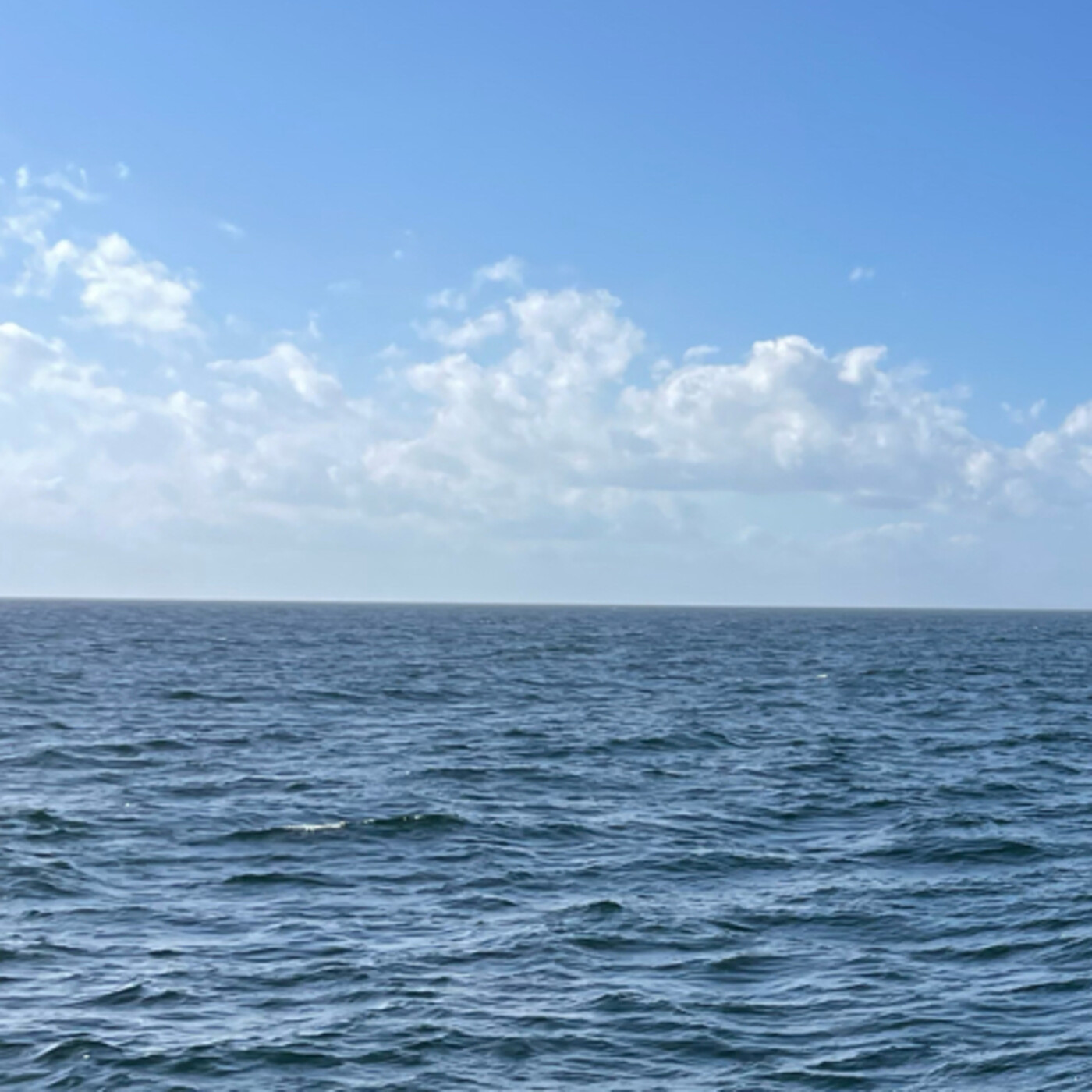 The Backrooms 101: Level 7 Explained - The Backrooms: 101 - Podcast en ...