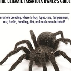 [PDF] Tarantula Spiders As Pets: Tarantula breeding, where to buy ...