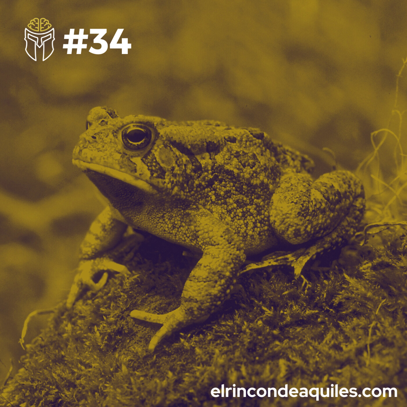 #34 Tragarte un sapo te hará más productivo | Productividad Personal ...