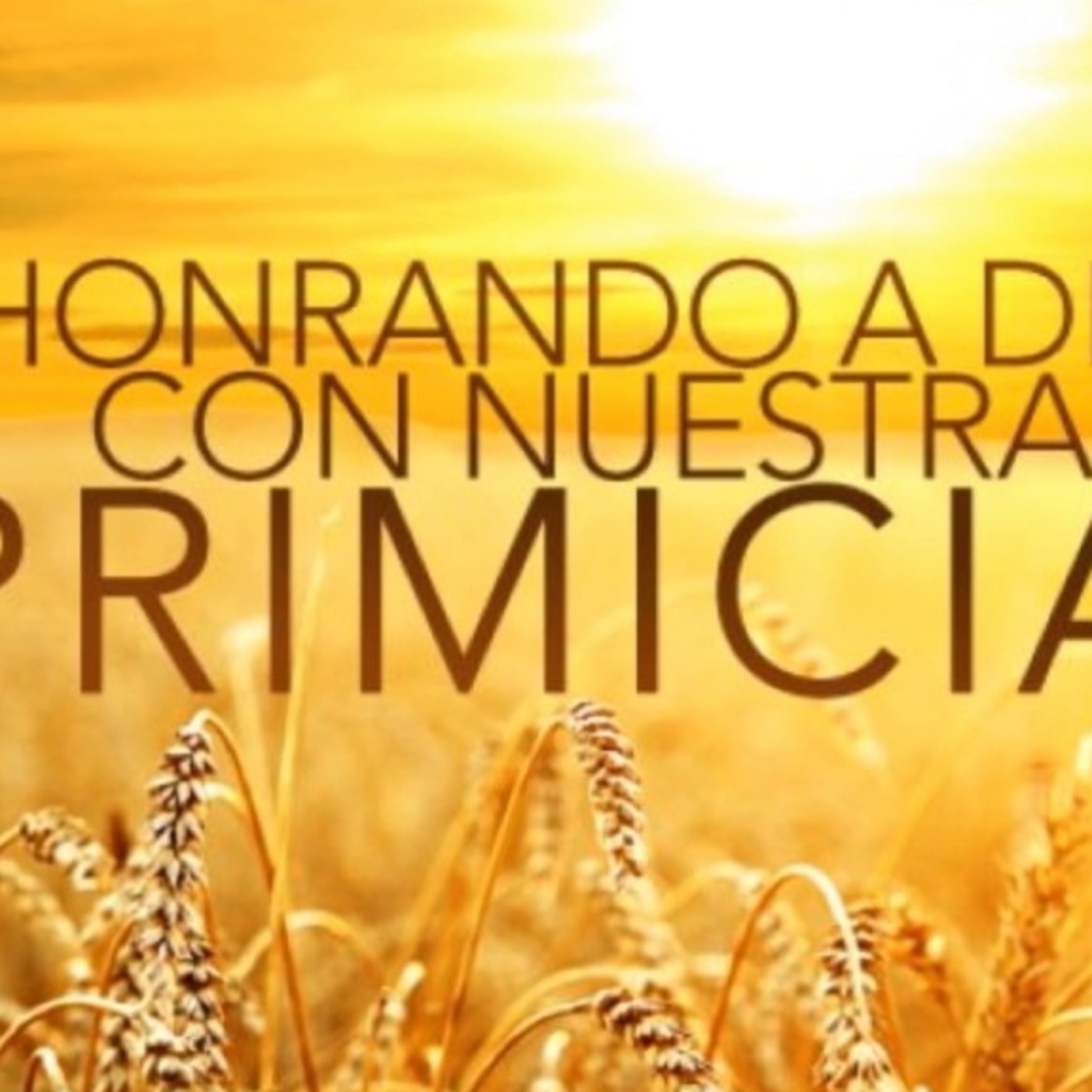 PRIMICIAS: UN PRINCIPIO BÍBLICO 2 - Podcast imec poza rica - Podcast en ...
