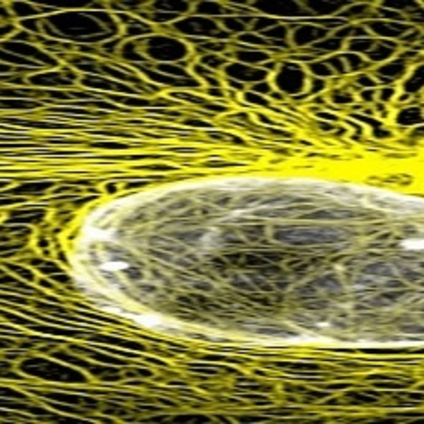 24-01-2019 Átomos simiente y el sistema de intercambio de información ...
