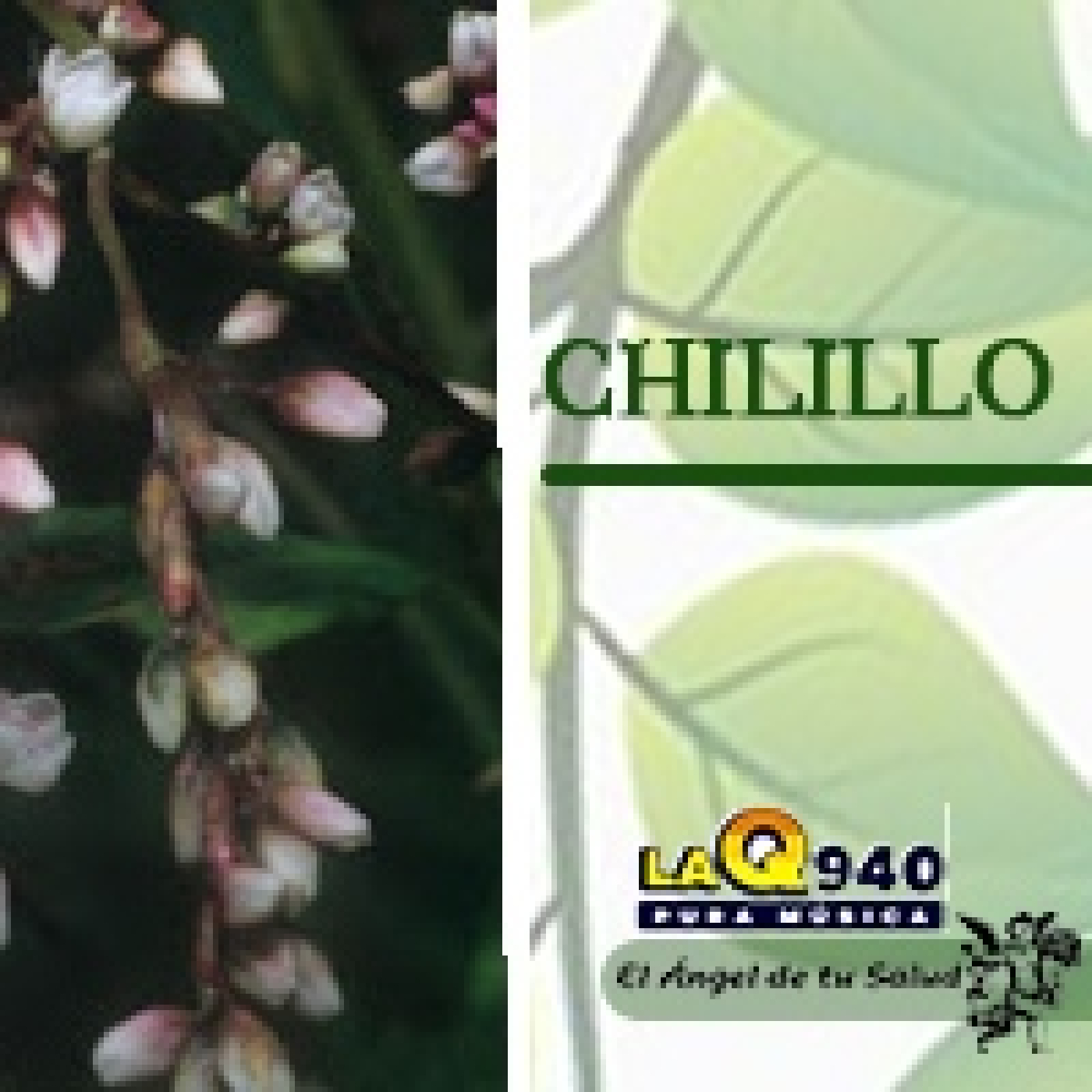 El Ángel de tu Salud - Chilillo** - EL ÁNGEL DE TU SALUD - Podcast en iVoox