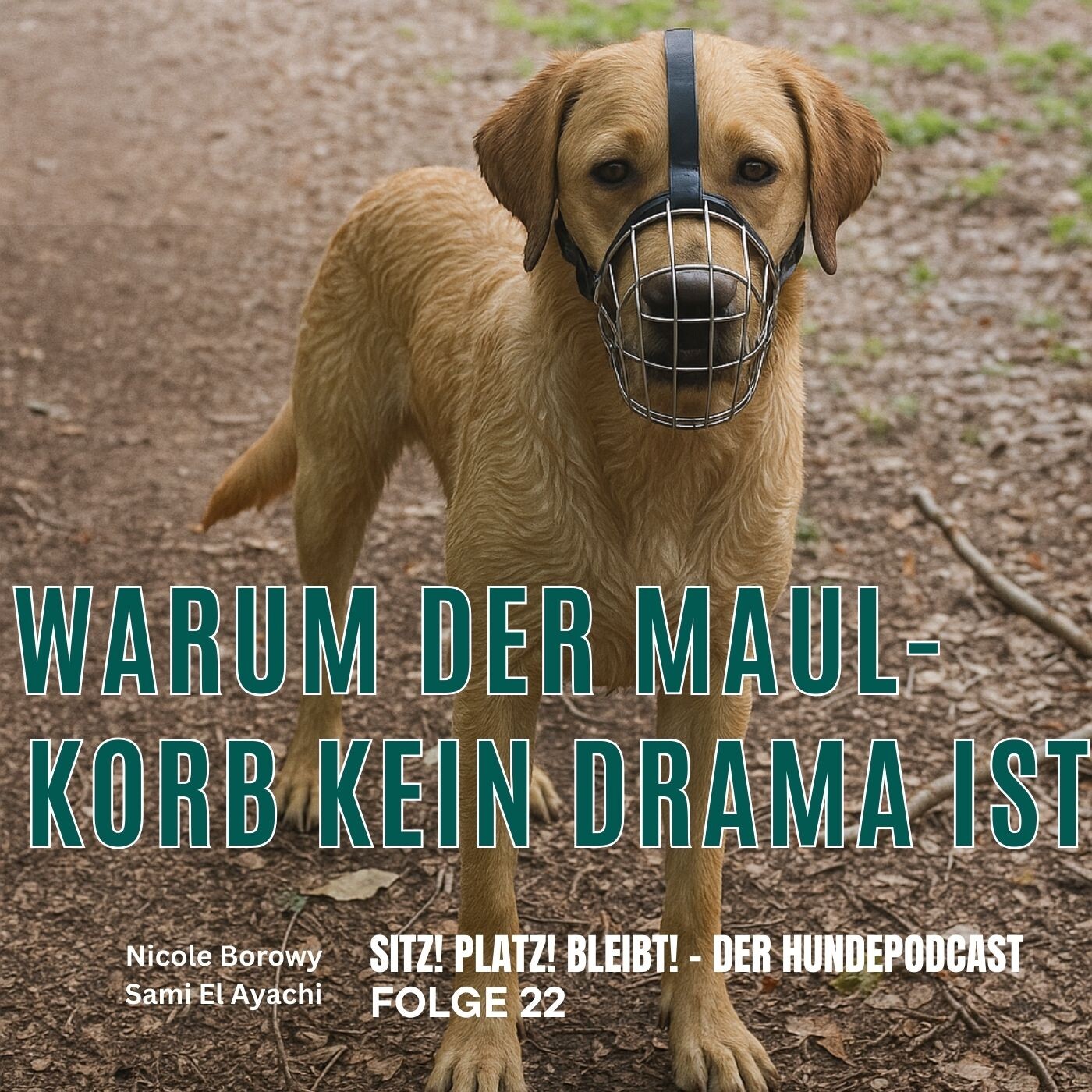 #22 Der Maulkorb - Warum er kein Drama ist - Sitz! Platz! Bleib! - der ...