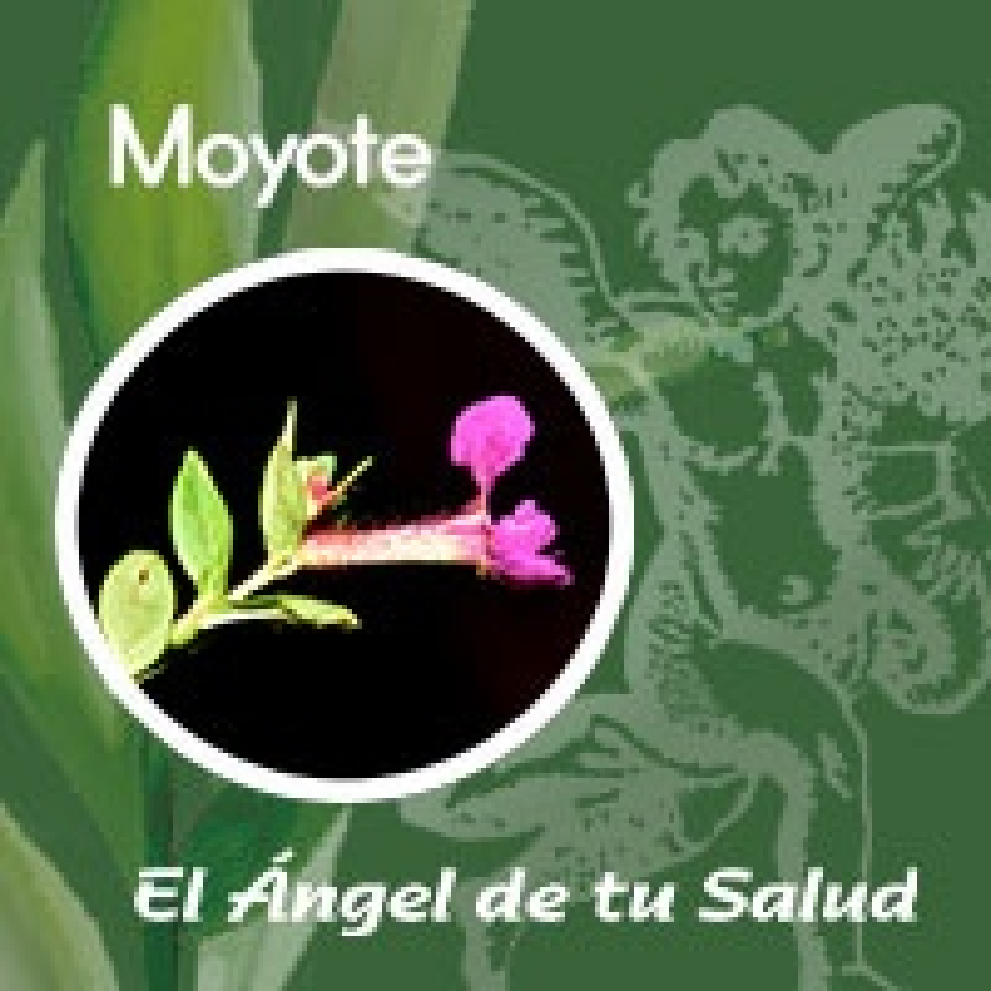 El Ángel de tu Salud - Moyote** - EL ÁNGEL DE TU SALUD - Podcast en iVoox