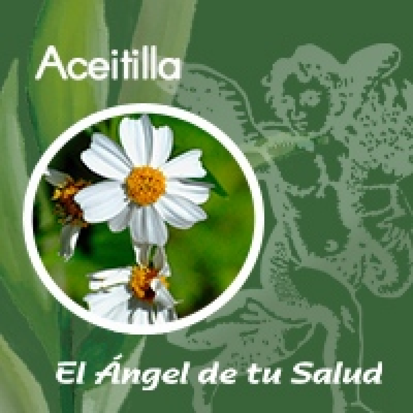 El Ángel de tu Salud - Aceitilla** - EL ÁNGEL DE TU SALUD - Podcast en ...