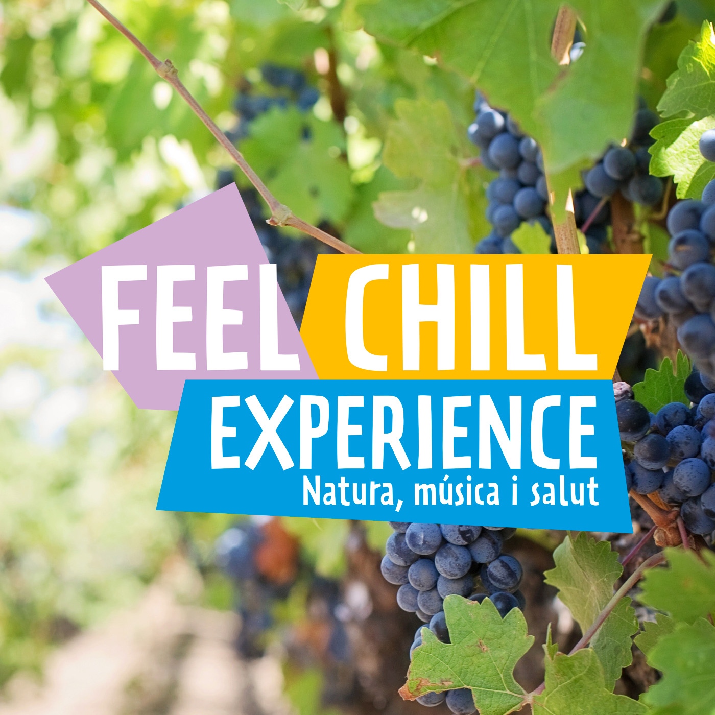 Feel chill music - wine - Feel Chill Music - Podcast en iVoox