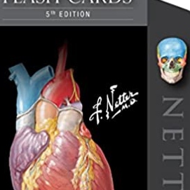 Download ️eBook Netter's Anatomy Flash Cards (Netter Basic Science ...