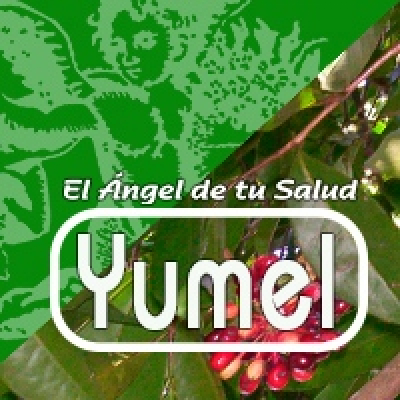 El Angel de tu Salud - YUMEL****** - EL ÁNGEL DE TU SALUD - Podcast en ...