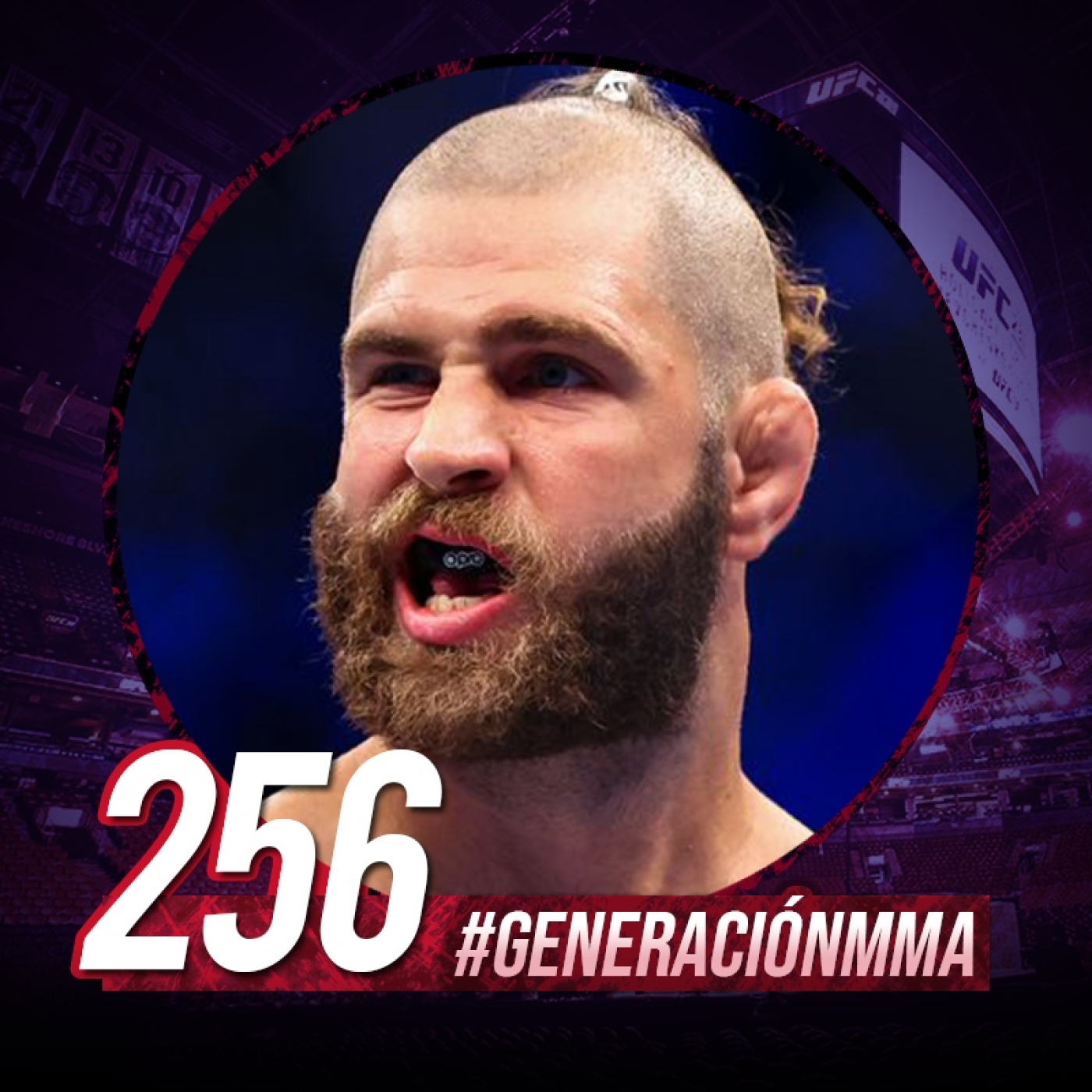 PREVIA UFC 295 - PELEAS CALLEJERAS - MEJORES PATEADORES UFC ...