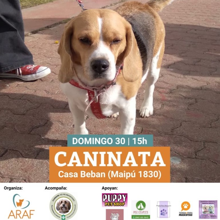 Audio- Roxana Velez- Pta de ARAF -Asociación Reino Animal Fueguino ...