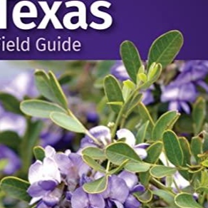 (PDF/DOWNLOAD) Trees of Texas Field Guide (Tree - herminiacherry ...