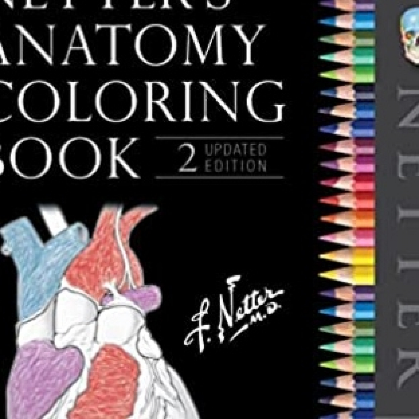 Download ⚡️ [PDF] Netter's Anatomy Coloring Book Updated Edition ...